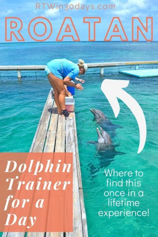 Dolphin Trainer for a Day in Roatan - Round the World in 30 Days