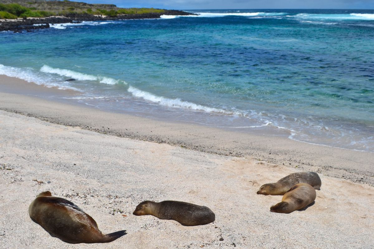 I've Been to 175 Countries. Here are the 50 Best Places to See in Your ...