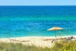 The Secluded Florida Barrier Island of Casey Key is Home to a Literary ...