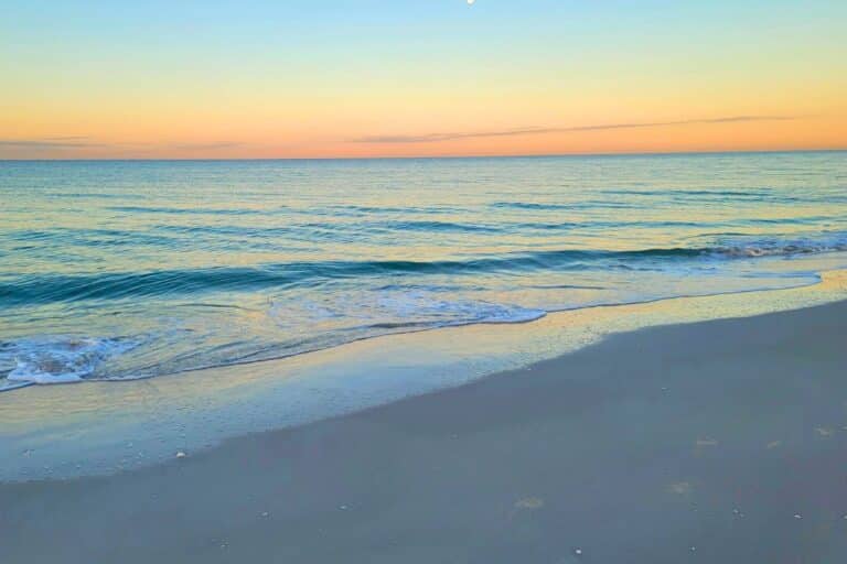 The Secluded Florida Barrier Island of Casey Key is Home to a Literary ...
