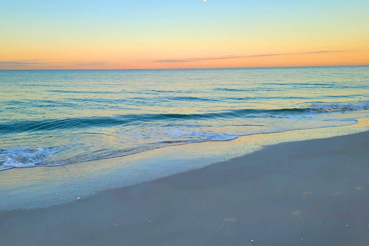 The Secluded Florida Barrier Island of Casey Key is Home to a Literary ...