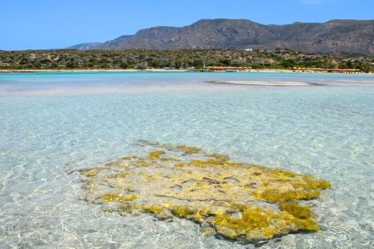Remote Elafonisi Beach in Greece is the Best in the World (& You've ...