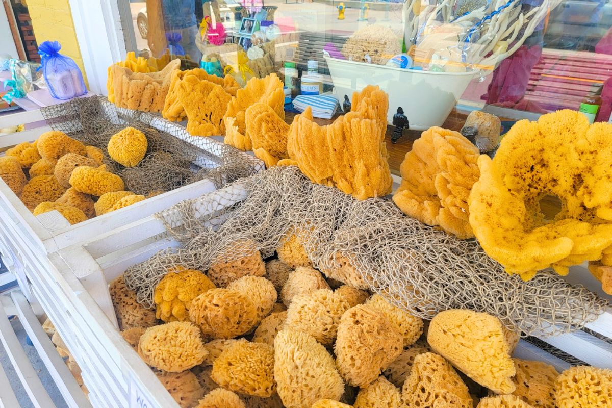 Get Your "Greek Fix" in Tarpon Springs, Florida (No Passport Required!)